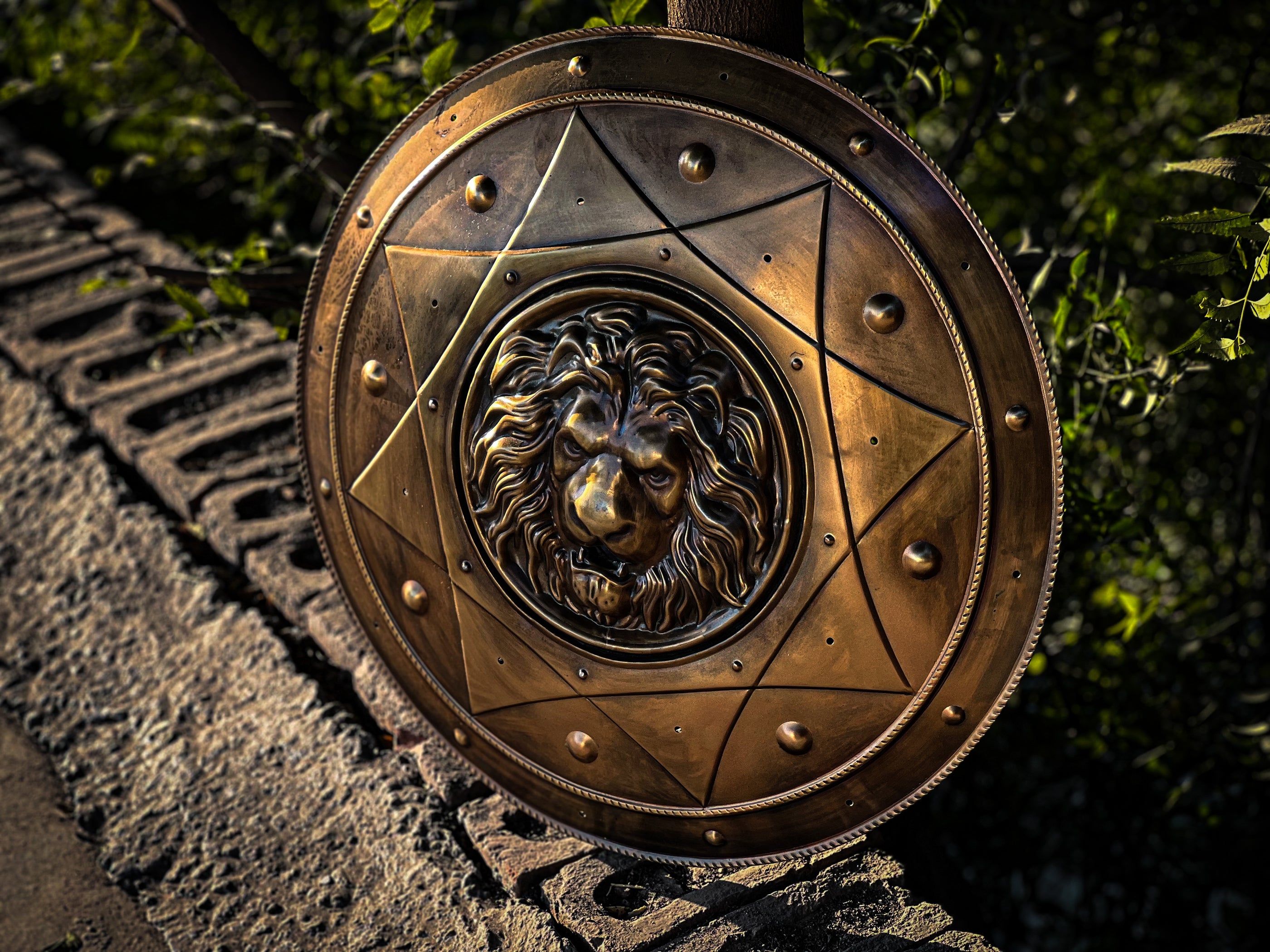 Lion face Metal Shield — HBC Armor Shop