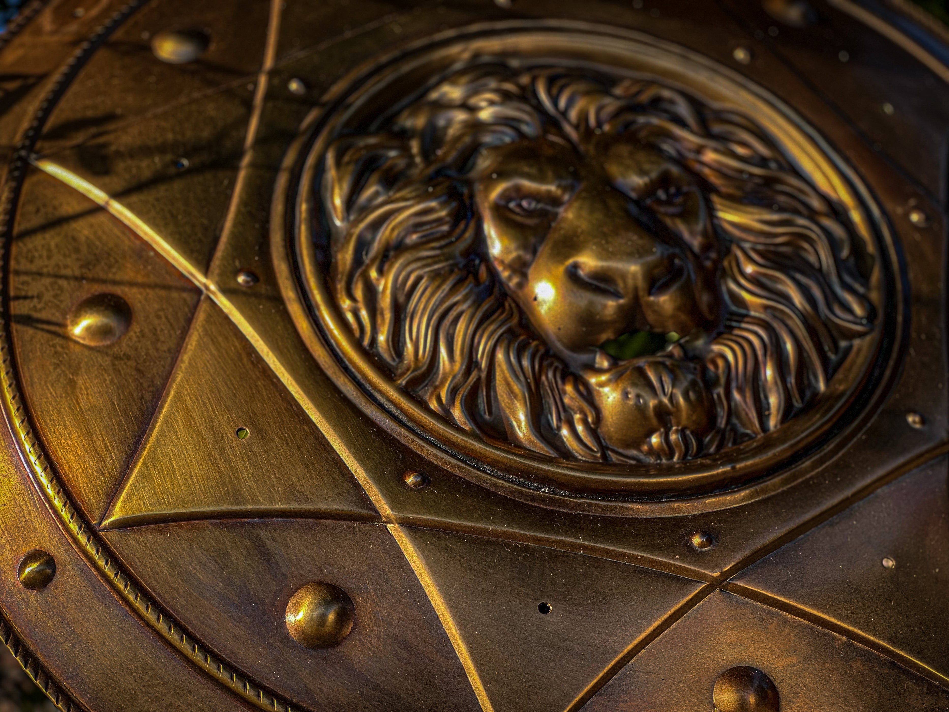 Lion face Metal Shield — HBC Armor Shop